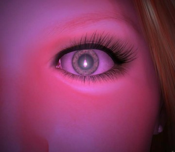 Found Objects 3 - Issue 2